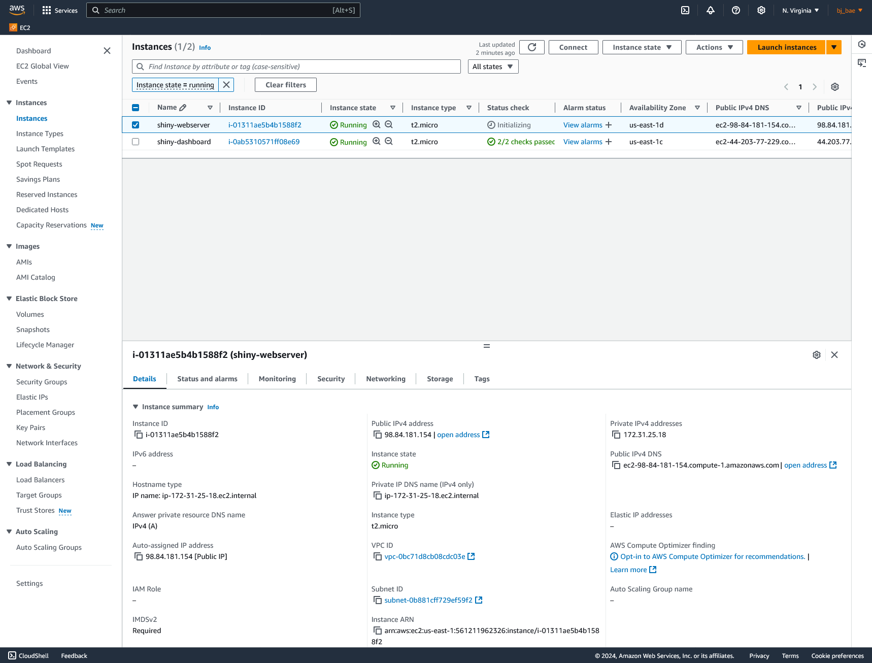 Deploying Shiny for Python App as an AWS Web Application | bbae