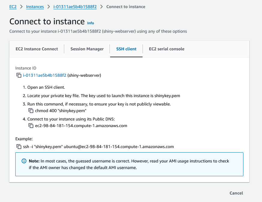 Deploying Shiny for Python App as an AWS Web Application | bbae