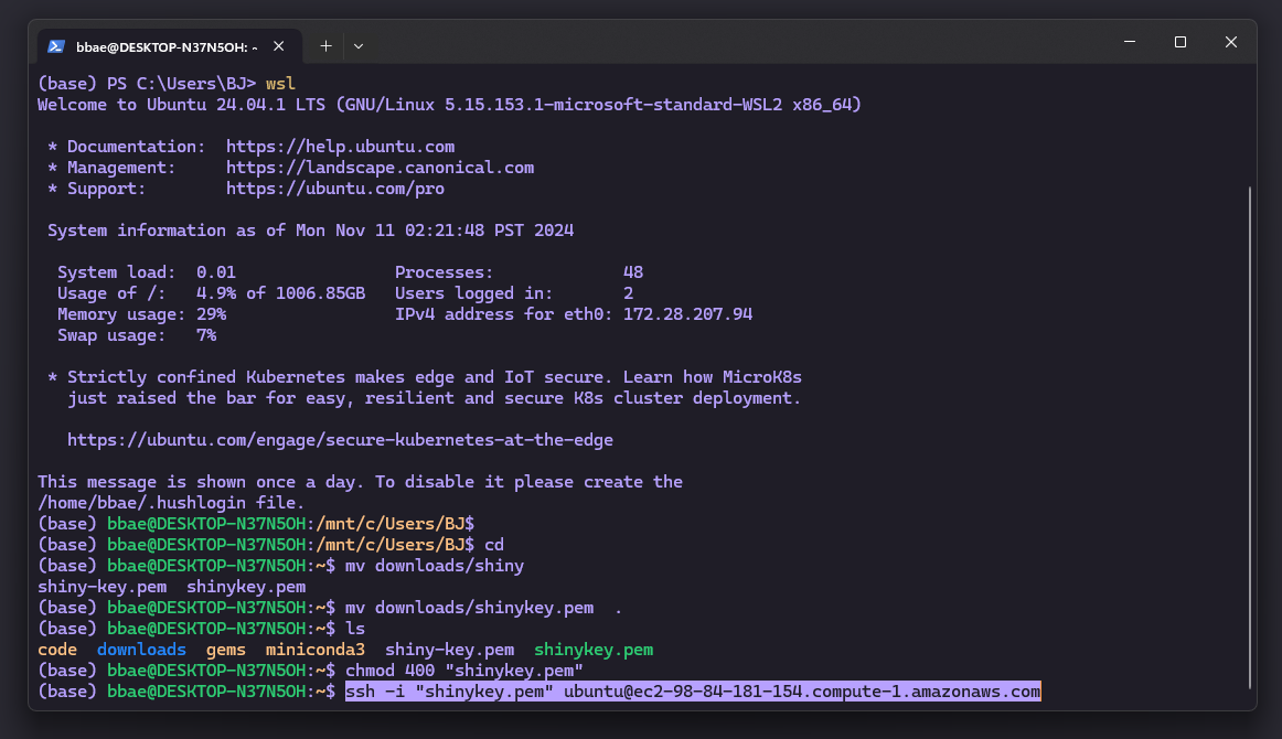 Deploying Shiny for Python App as an AWS Web Application | bbae