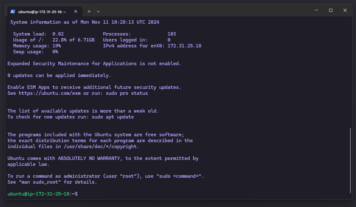 Deploying Shiny for Python App as an AWS Web Application | bbae