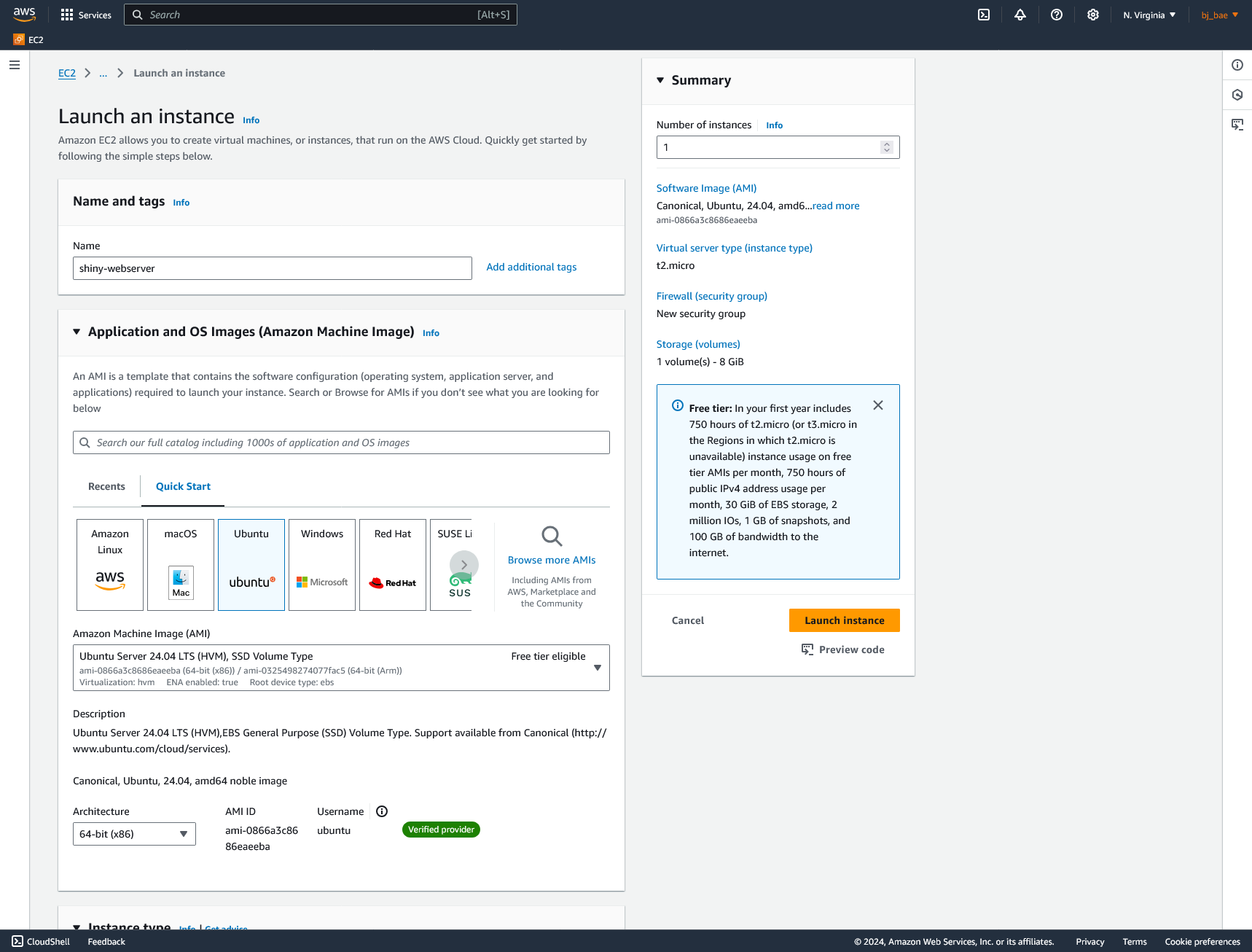 Deploying Shiny for Python App as an AWS Web Application | bbae