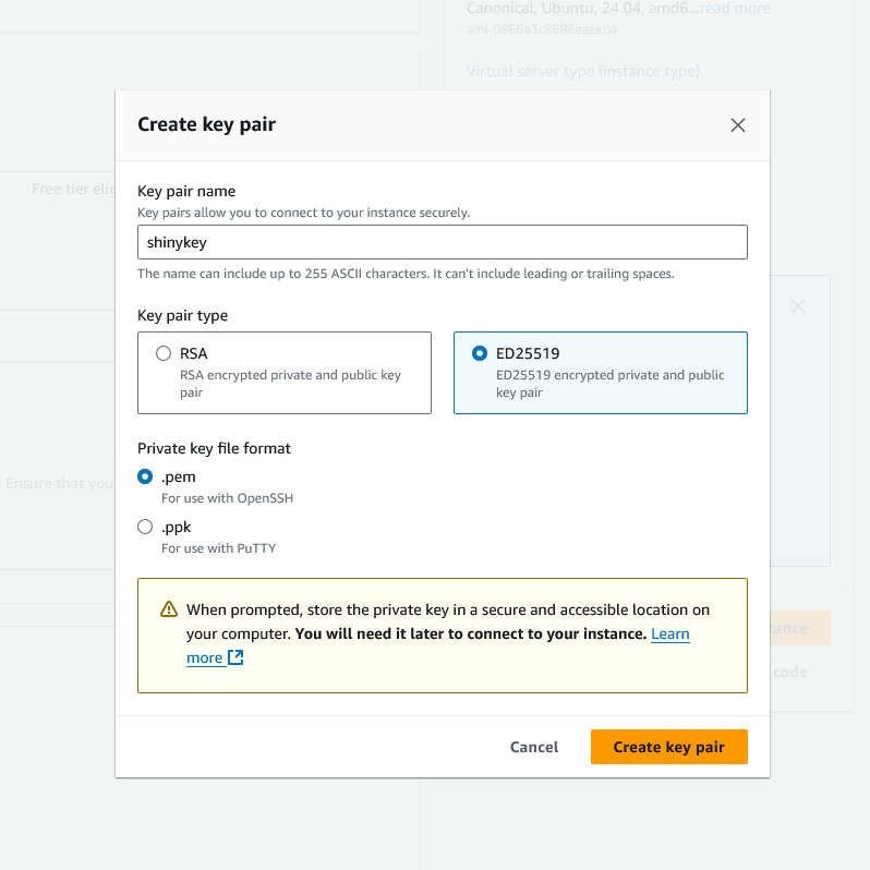 Deploying Shiny for Python App as an AWS Web Application | bbae