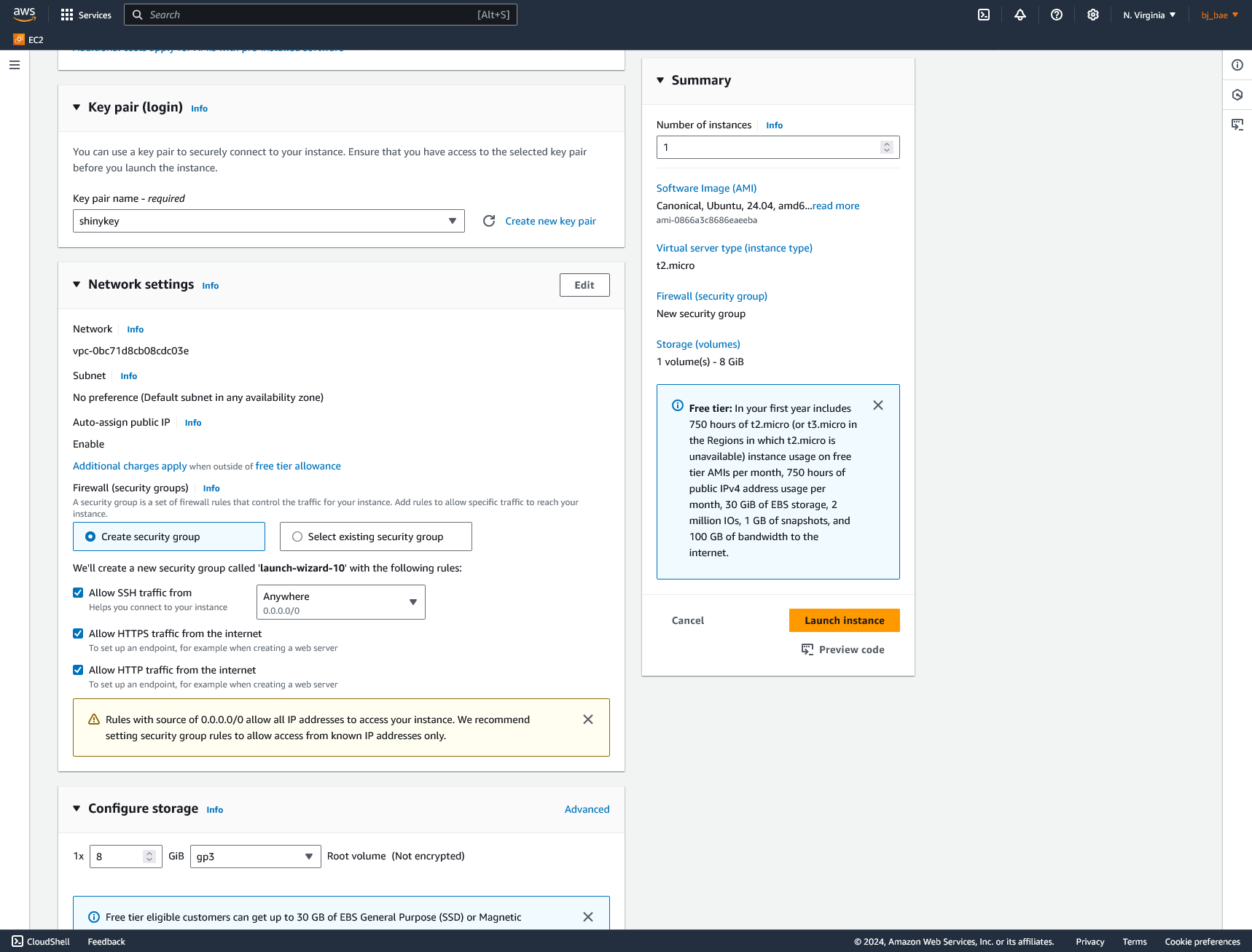 Deploying Shiny for Python App as an AWS Web Application | bbae